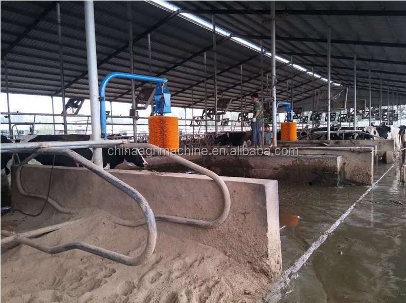 Poultry Equipment Cow Brush Scratching Machine For Cow Cattle - Buy Cow ...