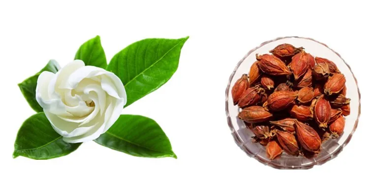 Gardenia Extract Powder Cas#:6902-77-8 Genipin - Buy Genipin,Genipin ...