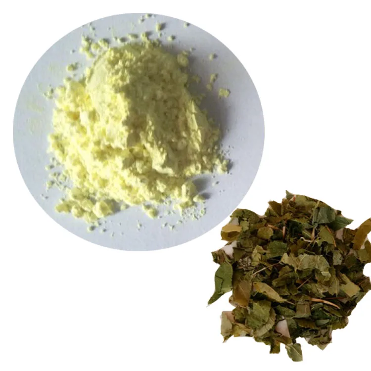 Buy Bulk Horny Goat Weed Extract Powder Epimedium Icariin Epimedium ...