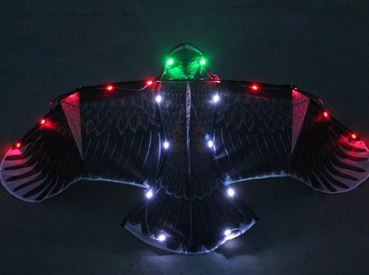 Large Led Night Eagle Bird Kite Easy Flying Kite For Sale - Buy Kite ...
