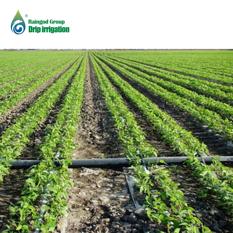 Inline Flat Dripper Drip Irrigation Pipe With Good Price - Buy Drip ...