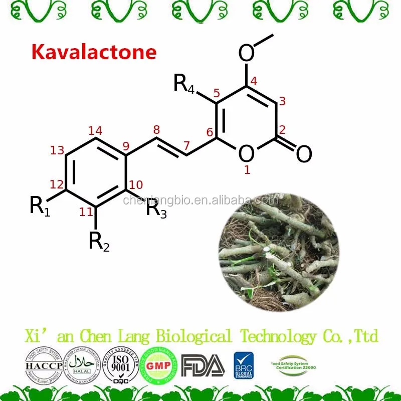 Kava Kava Seeds And Root Extract Kava Powder 30% Kavalactones - Buy ...