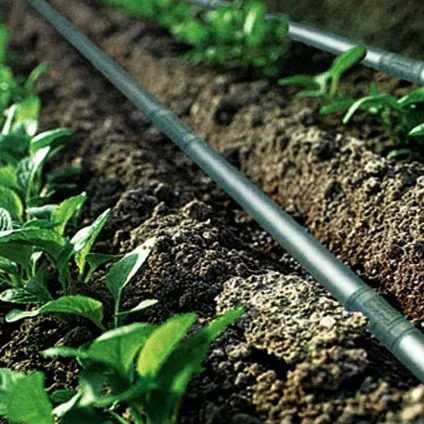 Perforated Pe Irrigation Pipe For Water-saving Drip Irrigation - Buy ...