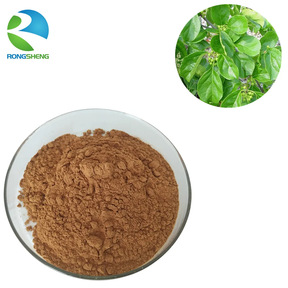 Factory Price Top Quality Salacia Reticulata Extract - Buy Salacia ...