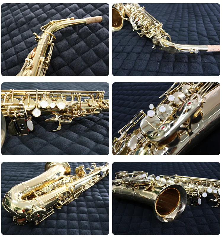 Hot Sale Alto Saxophone Fas-100(colored Saxophones) - Buy Cheap Alto ...