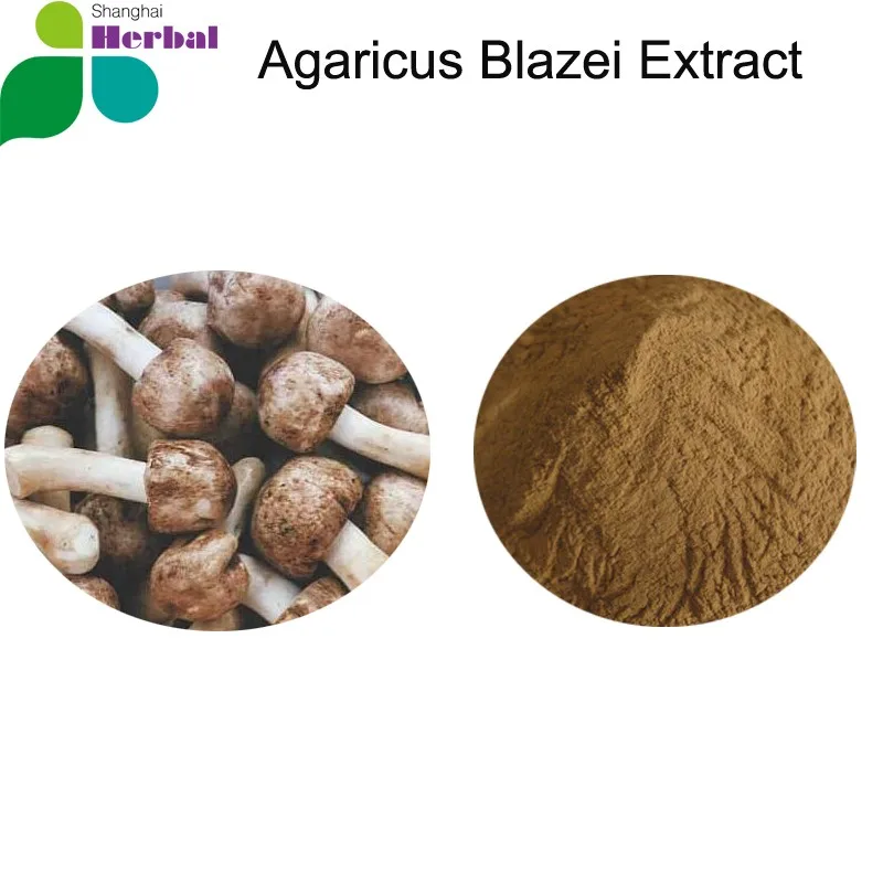 Health Supplement Agaricus Blazei Murill Mushroom,Agaricus Blazei ...