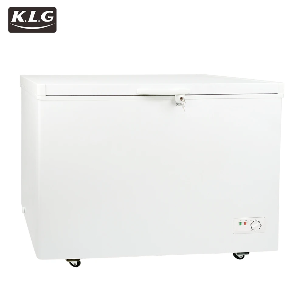 40 Feet Container Cold Storage Industrial Refrigerator Gas Fridge Iqf ...