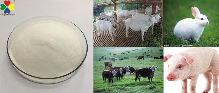 Bulk Veterinary Drug Ivermectin Dosage For Dogs Rabbits Cattle - Buy ...