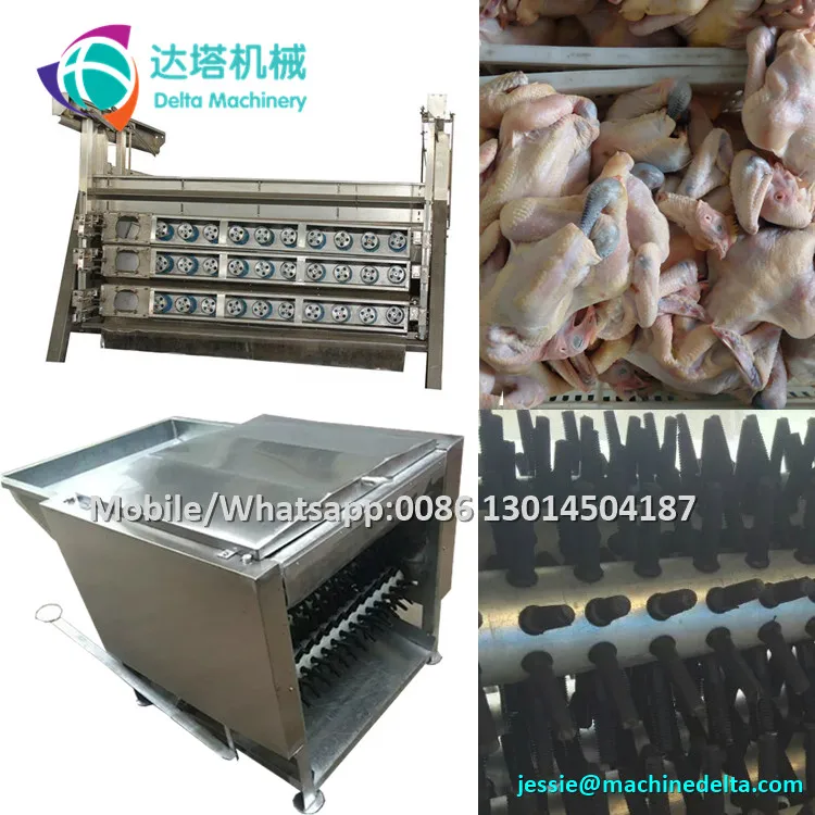 Professional Fully Automatic Poultry Scalding Plucking Machine /chicken ...