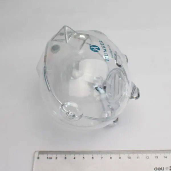 Cute Design Clear Plastic Coin Bank - PINBO PT5418-1