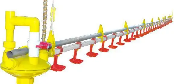 Efficient Poultry Feed Equipment for Reliable Chicken Raising