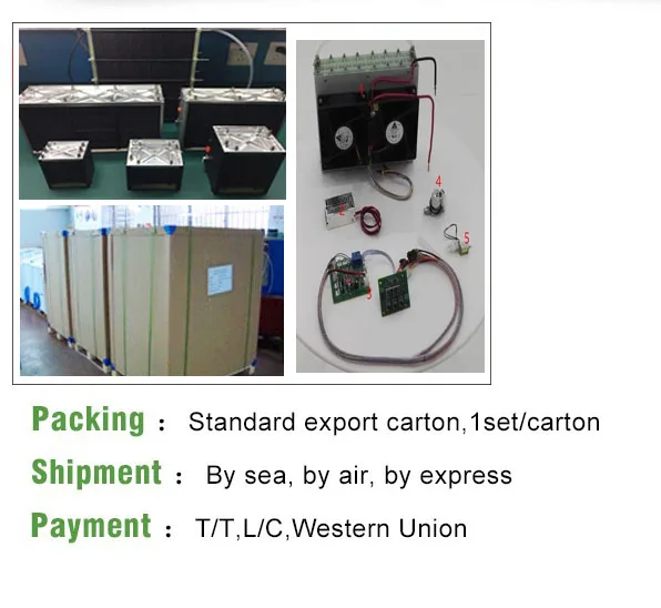 100W Metal Hydrogen Powered Fuel Cells - 24V Efficiency