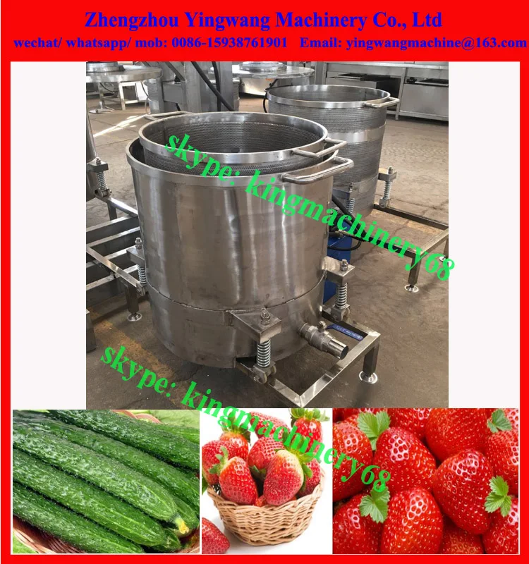 Ice Grape Press Machine - Buy 50 Tons Hydraulic Vegetable Press Machine ...