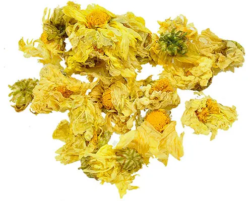 Wholesale Chinese Ju Hua Tea - Dendranthema Indicum Dry Chrysanthemum ...