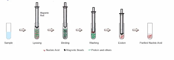 Life Scientific Nucleic Acid Isolation Extraction Purification ...