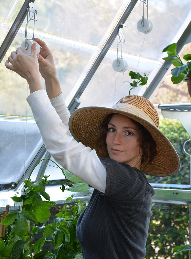 Greenhouse Trellising Roller Hook For Tomatoes Planting Support - Buy ...