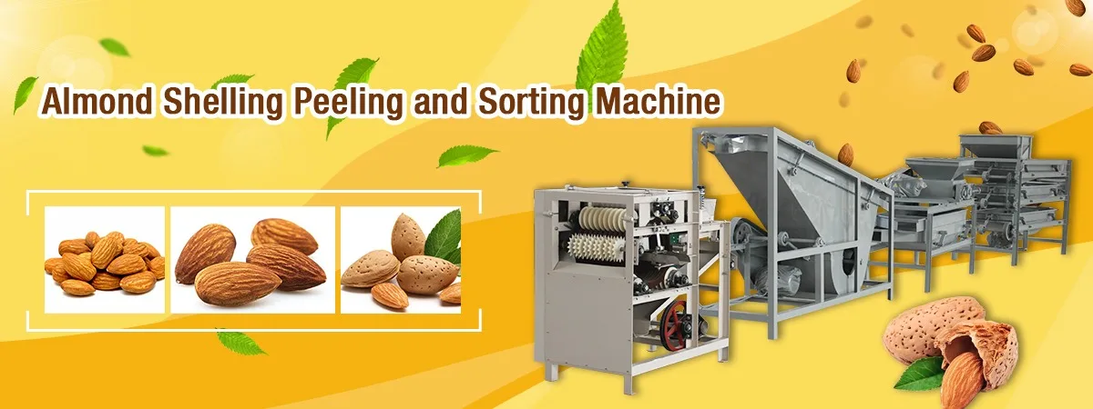 Efficient Palm Nut Cracking Sheller Machine for Wholesale