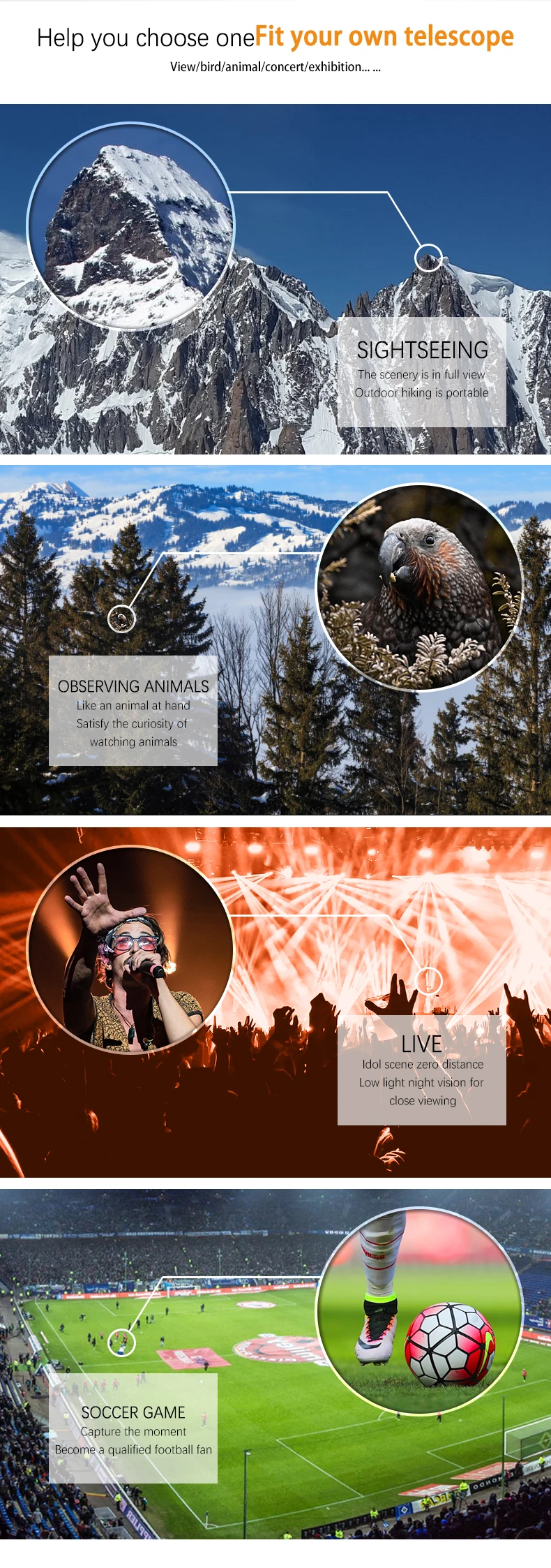 Suncore Wingcatcher Hd 12x42 Professional Binoculars For Bird Watching ...