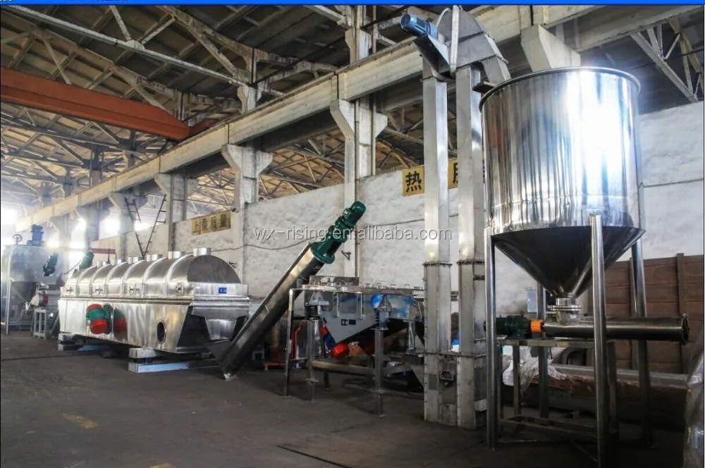 Salt Washing Complete Production Line by RSE - Efficient & Reliable
