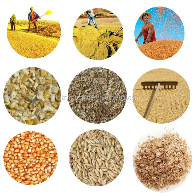 Commercial Paddy Rice Winnowing Machine Grain Winnower Machine - Buy ...