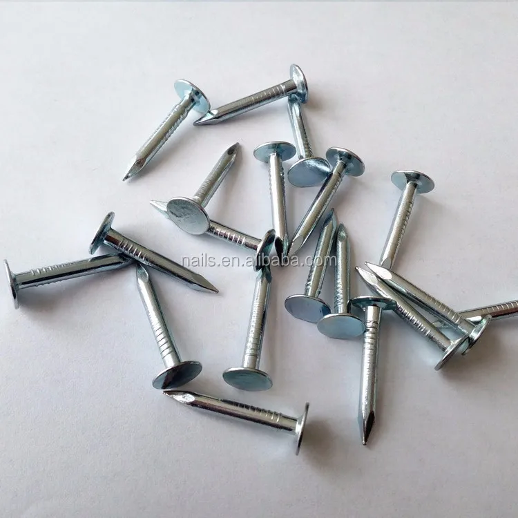 Flat Head Clout Nails Factory - Buy Flat Head Clout Nails,Clout Head ...