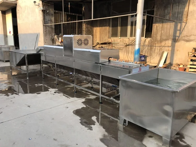 Small Egg Washer / Commercial Egg Washer / Poultry Egg Washer| Alibaba.com
