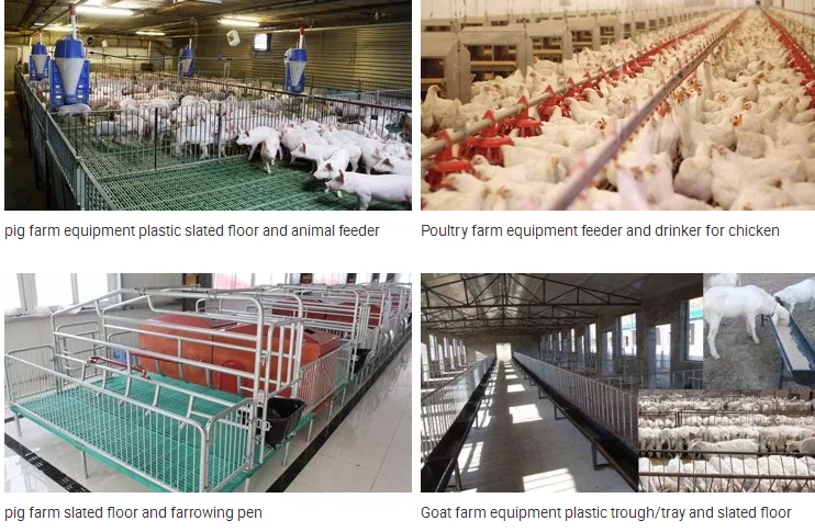 Durable and Efficient BMC Pig Slat Flooring for Swine Farms