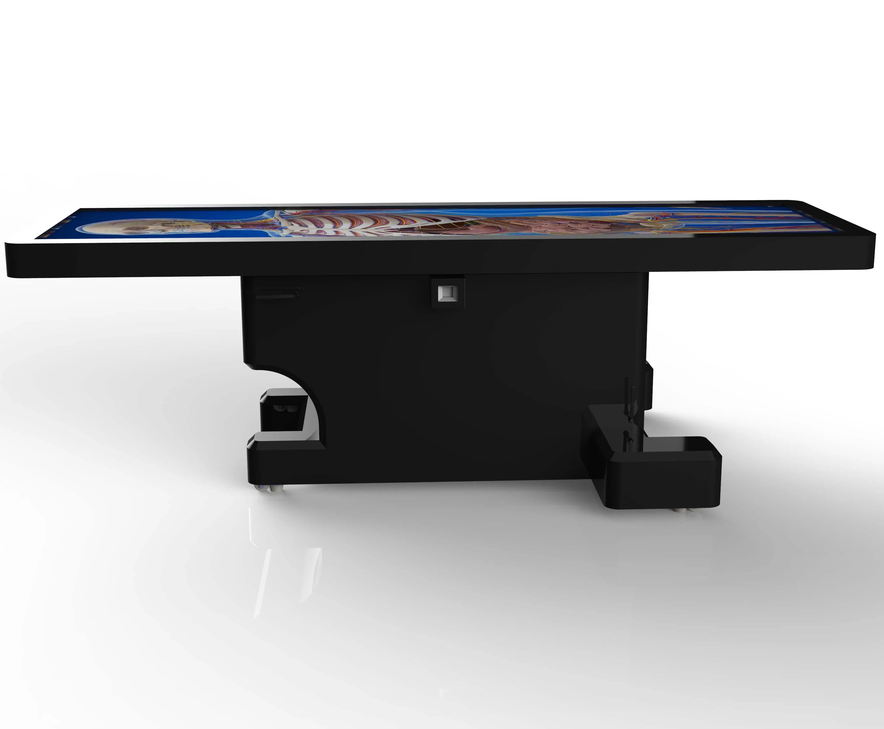 3d Body Virtual Autopsy Table/anatomage,Digital Human Body Anatomy ...