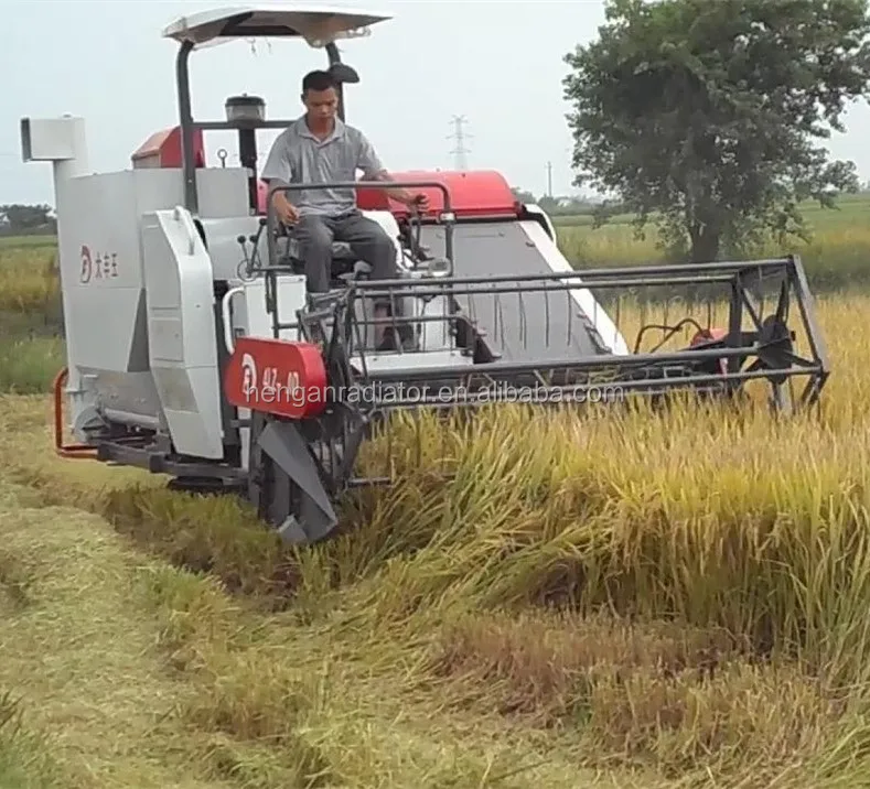 Pequeño Arroz Máquina De Cosecha Para La Venta - Buy Pequeña Cosecha De ...