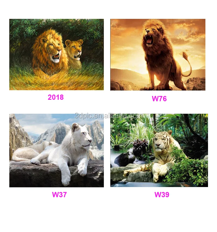 Lenticular 3d Picture Of Lion 5d Lenticular Picture Of Animal ...