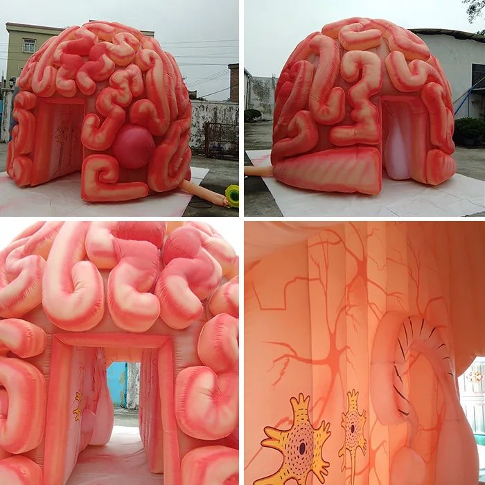 Giant Inflatable Brain Model For Exhibition - Buy Inflatable Brain ...