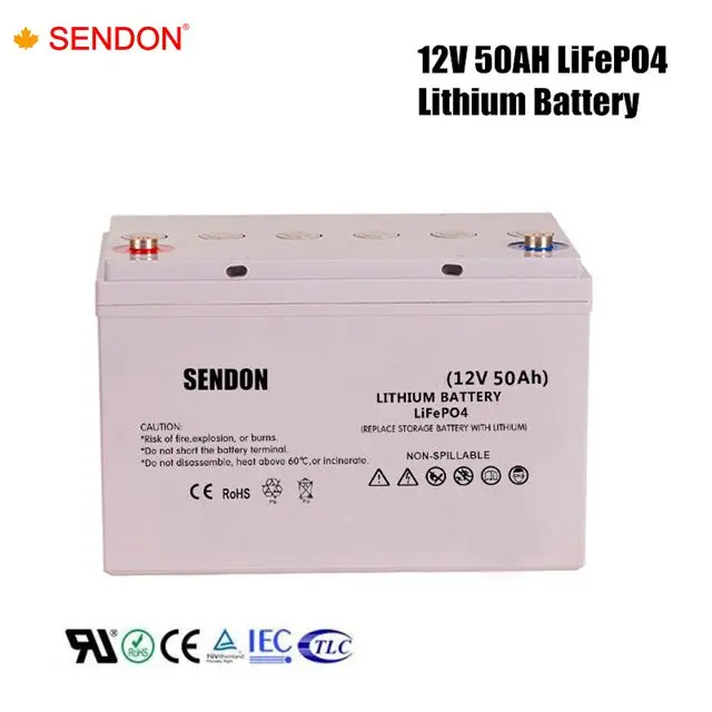 Lifepo4 Battery 12v 24v 36v 48v 20ah 40ah 50ah 60ah 100ah Deep Cycle Lithium Ion Lifepo4 Battery ...