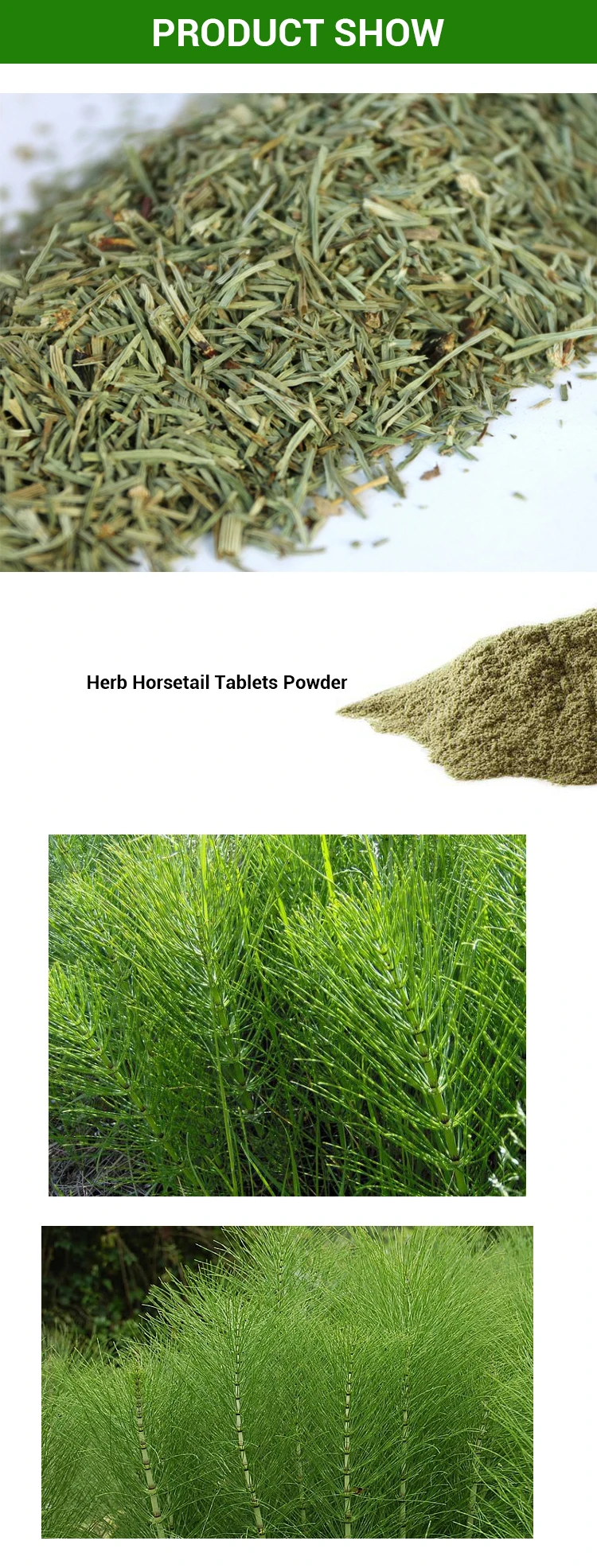 Equisetum Arvense Herb Horsetail Tablets Powder And Herb - Buy ...