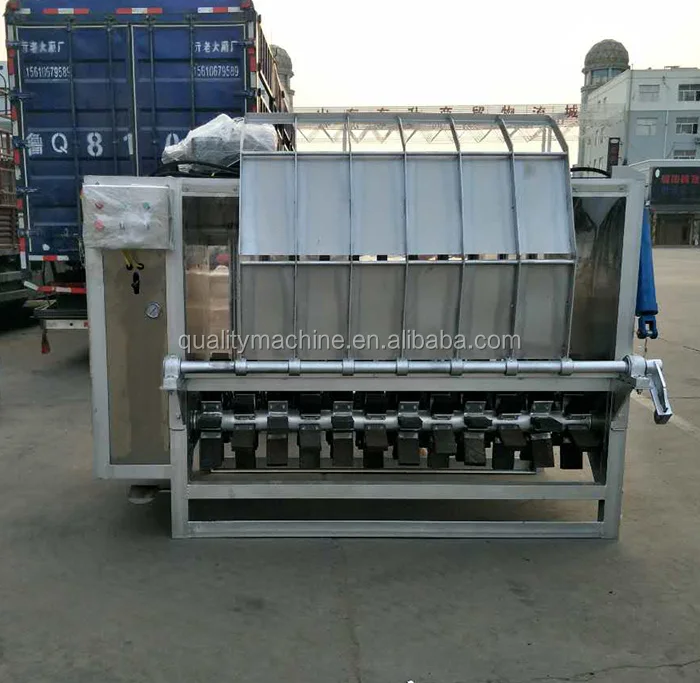 Pig Scalding Machine - High Productivity & Video Inspection