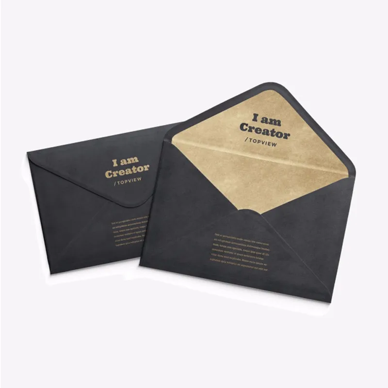 Custom Logo Expandable Printed Paper DL Envelopes