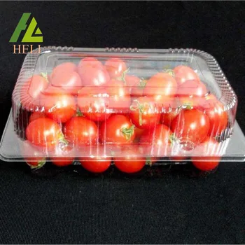 Transparent Plastic Tomato Molded Boxes - Buy Plastic Tomato Molded ...