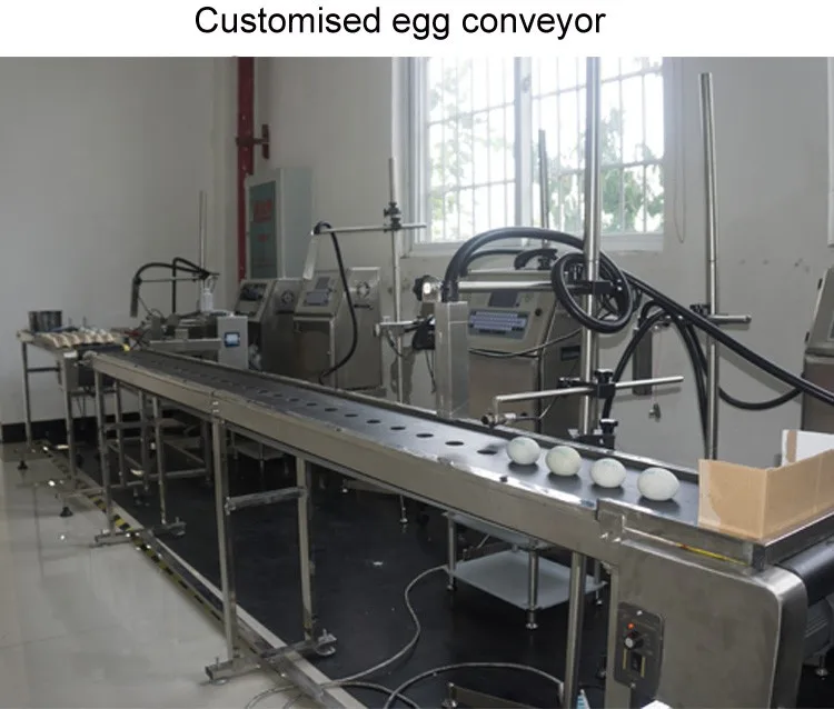 High Quality Grade Mini Rubber Belt Conveyor System
