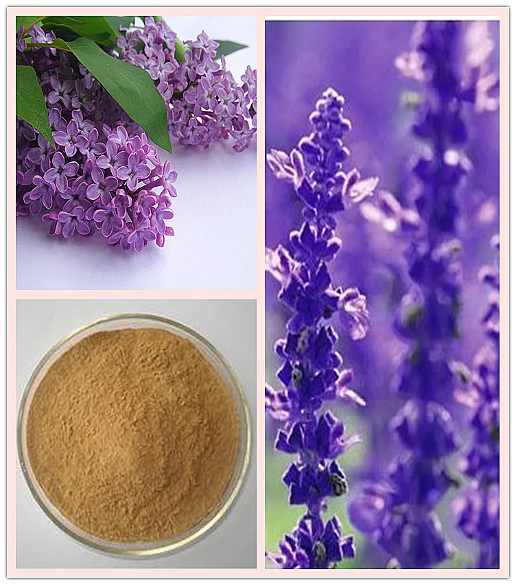 Dried Lavender Flower Powder Lavender Extract Powder - Buy Lavender ...