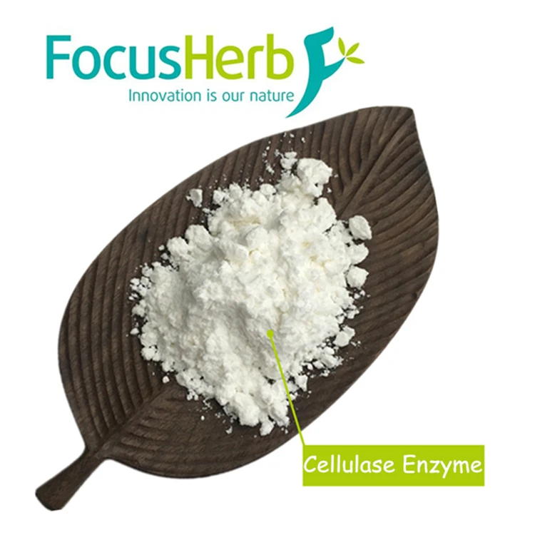 Focusherb Neutral Cellulase Enzyme Powder - Buy Cellulase Enzyme Powder ...