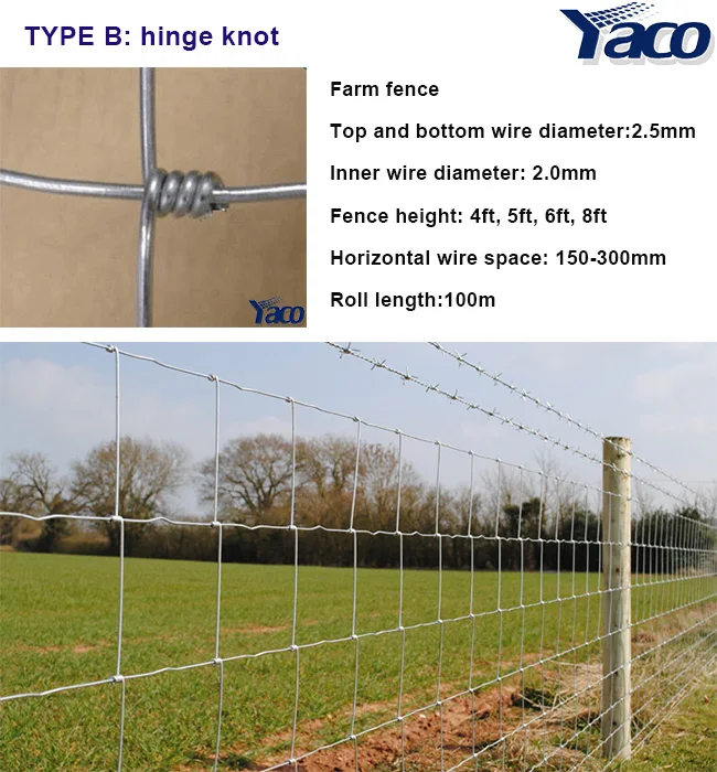 No Climb Horse Wire Fence Corrosion Resistant Veldspan Wire Mesh Farm ...