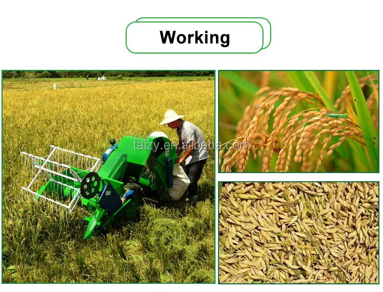 Combined Hand Held Mini Wheat And Rice Grain Combine Harvester ...