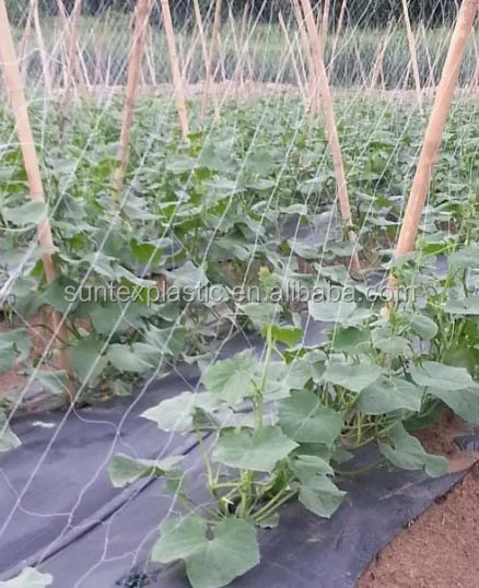 Pp Extruded Plastic Cucumber Climbing Net,White Color Trellis Mesh ...