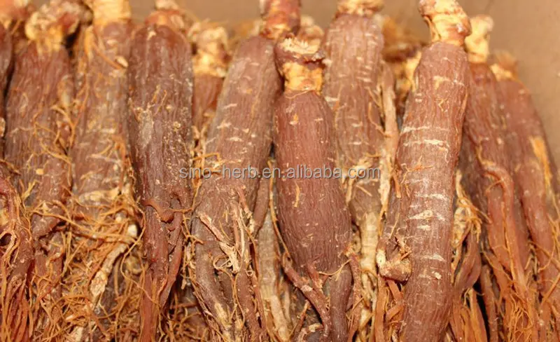 Traditional Chinese Herb Supplement - Hong Shen Dried Ginseng Root