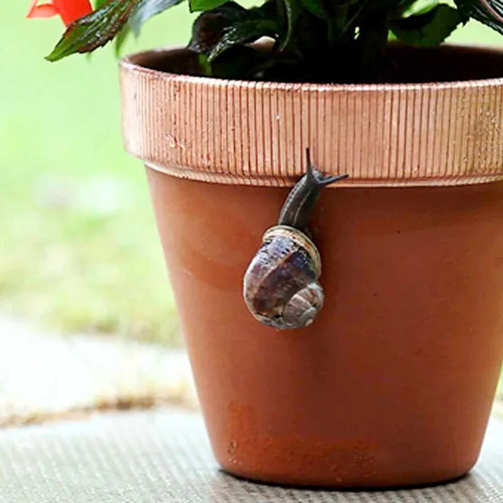 Garden Slug Snail Copper Tape Barrier - Repel Snails Effectively