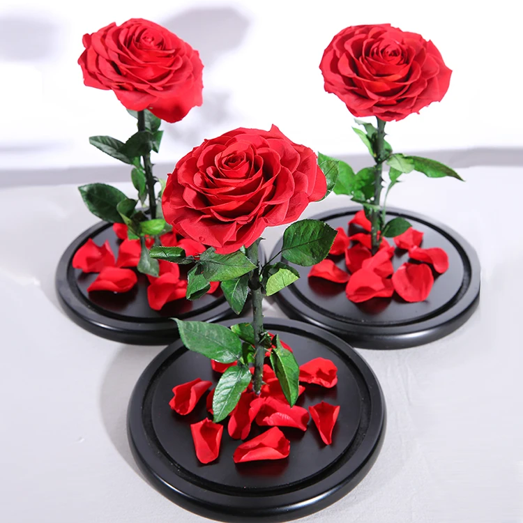 20*30cm Quality Decorative Forever Eternal Everlasting Preserved Rose ...