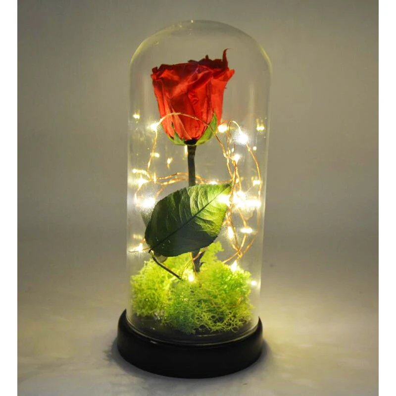 Enchanted Rose That Lasts Forever In Glass Dome - Buy Real Natural ...