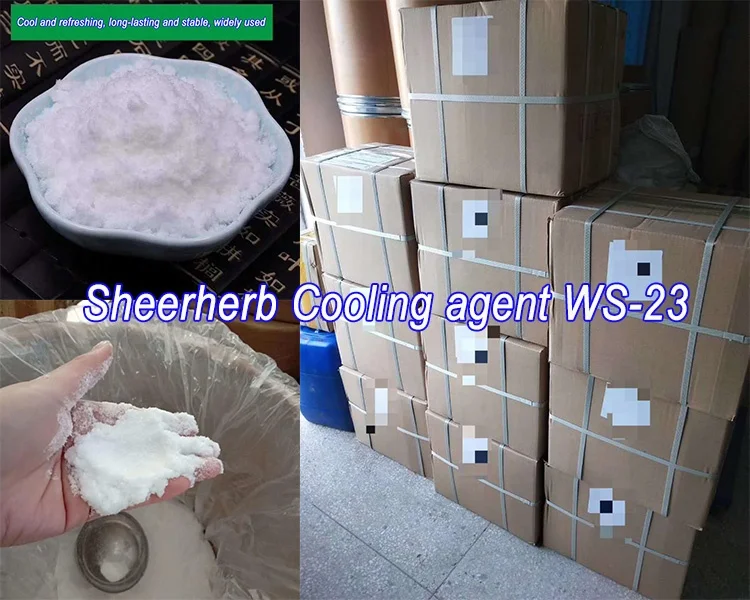Ws-23 Cooling Agent Bulk Price Cooling Agent Ws-23 - Buy Ws-23,Ws-23 ...