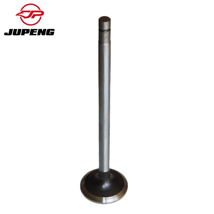 High Quality 6WF1 6WG1 Exhaust Valve 1125521003 for ISUZU