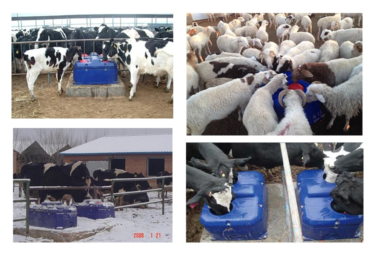 Cattle Water Trough Float Tank For Sheep/dairy Feeding Goat Farm ...