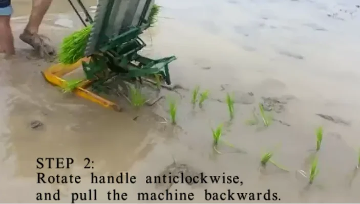 Philippine Rice Transplanter - Efficient Paddy Planting